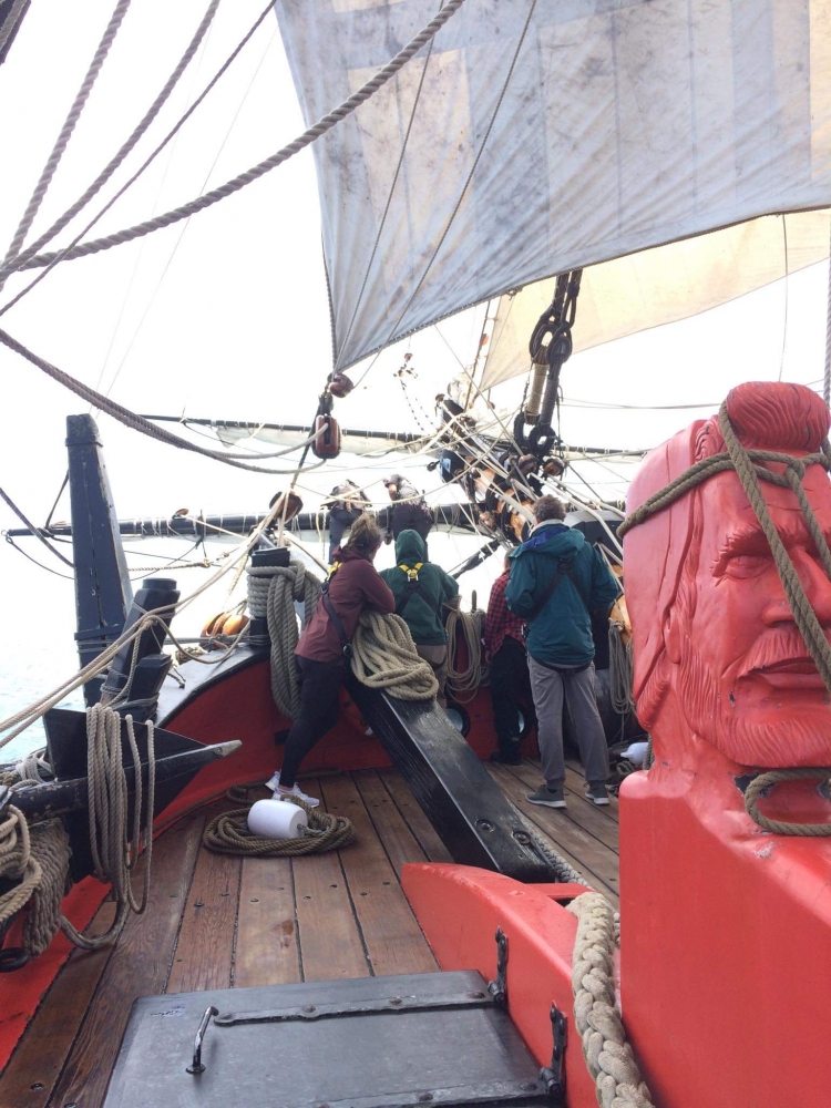 Tuia 250 Flotilla 31st October 2019 - Land of Voyagers